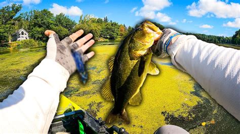 Big Bass In Heavy Grass Mats Youtube