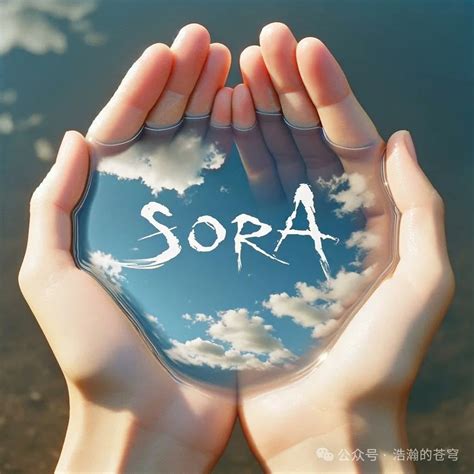 5分钟，零成本构建自己的sora服务器！开源项目soraweb 手把手教程！ 技术分享 云服务器