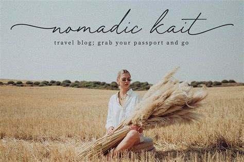 Script Font Swashes Font Calligraphy Font Signature Font Logo Font Handwriting Font Script