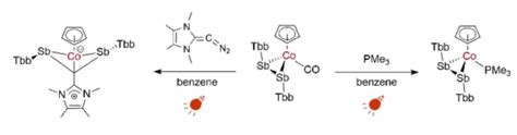 Heavy Dipnictenes Activated With Light Chemistryviews