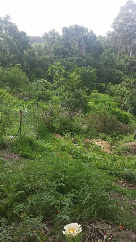 The Dna Alignment Activation