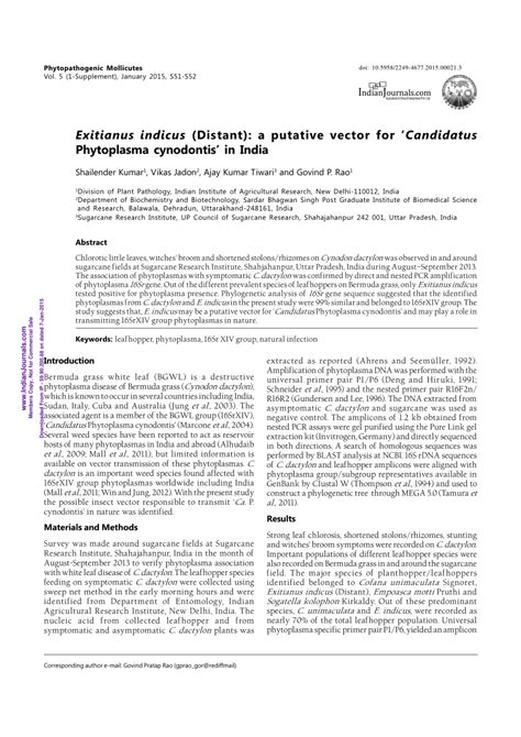 Pdf Exitianus Indicus Distant A Putative Vector For ‘candidatus