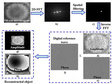 Reconstruction Steps Of The Conventional Spatial Filtering Based Phase Download Scientific