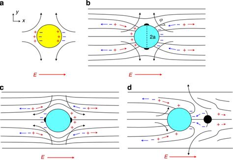 Nonlinear Electro Osmotic Flows In Isotropic And Lc Electrolytes A Download Scientific