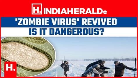 Scientists Revive 48500 Year Old Zombie Virus