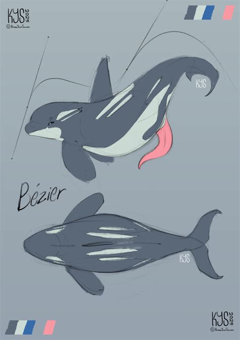 Rule 34 Absurd Res Animal Genitalia Animal Penis Cetacean Cetacean