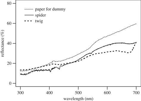 Reflectance Spectrum Of Body Colour Of Female Ariamnes Cylidrogaster
