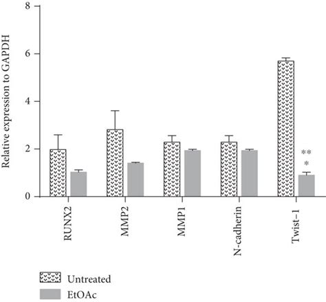 Rt Pcr Imagej Analysis A B Mrna Steady State Levels For Genes Download Scientific Diagram