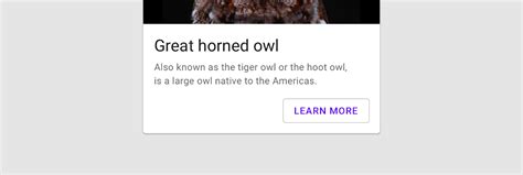 Material Design