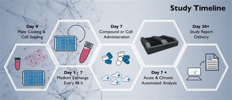 Live Cell Analytics Innovitro Gmbh