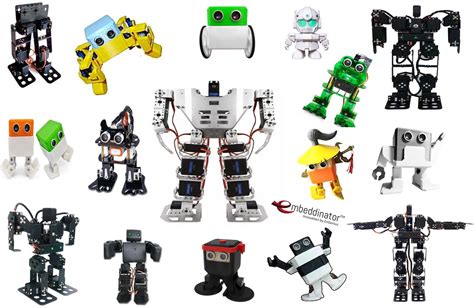 Humanoid Bipedal Robotic DIY Kit Embeddinator