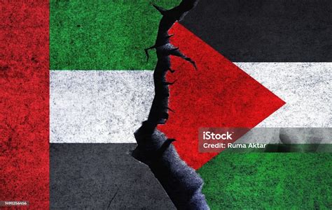 Uae And Palestine Flag Together Palestine Uae Relation Stockvectorkunst