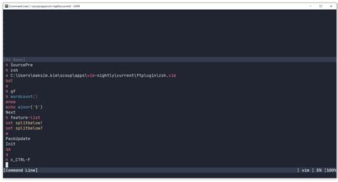 Is There A Simple Way To Persist Command History In Vimneovim Vi