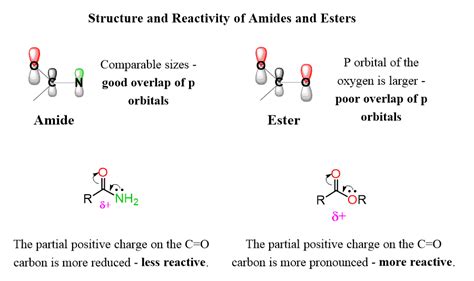 Amine Vs Amide Structure