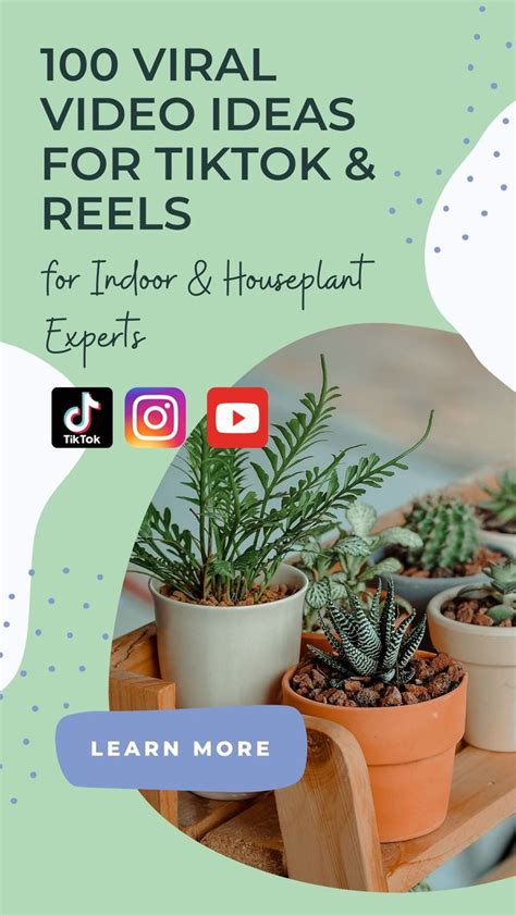Indoor Plant Expert Video Content Ideas For Tiktok Reels Youtube