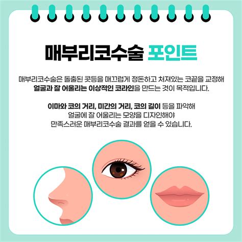 코수술 유형 매부리코수술 휜코수술 등 코성형 중요한 점은 네이버 포스트