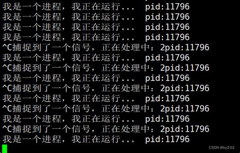 linux进程信号之初识信号 linux信号 csdn博客
