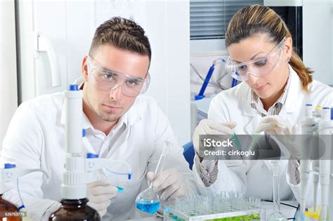 Attractive Young Phd Students Scientists Observing In The Laboratory