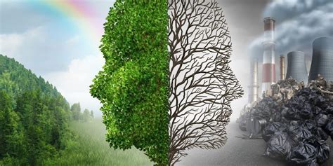 Daños Al Medio Ambiente Causados Por El Hombre