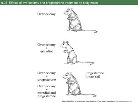 PPT Chapter 9 Homeostasis Behavior Further Discussion Of The