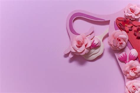 女性生殖系统，粉色艺术概念，花，特写，复制空间 库存图片 图片 包括有 女孩 系统 医学 构成 173068961