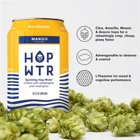 Hop Wtr Sparkling Hop Water Variety Pack 12 Pack Na Beer No