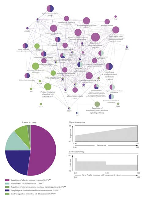 Go Functional Enrichment Analysis And Pathway Mapping A The Second Download Scientific