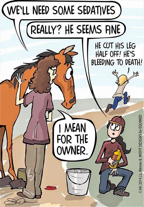 Savvy Horsewoman Horse Quotes Funny Horse Jokes Funny Horse Memes