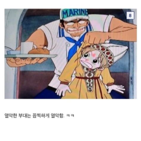 원피스 해군이 망한 이유 캐릭터 일러스트 만화 밈 만화 소녀