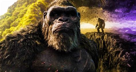 Son Of Kong Yeni Monsterverse Filmi Olabilir Kayıp Rıhtım