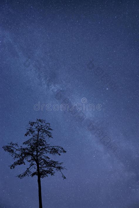 天文学天体摄影星座银河系风景图片 包图网企业站
