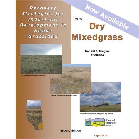 Recovery Strategies For Industrial Development In Native Grasslands For