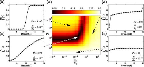 A Map Of A Comparison Between The Concentration Gradient And A