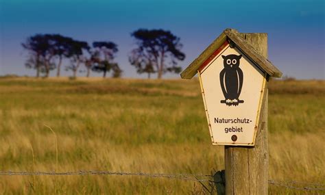 Wann ist Tag des Artenschutzes Tag des Artenschutzes ist das nächste