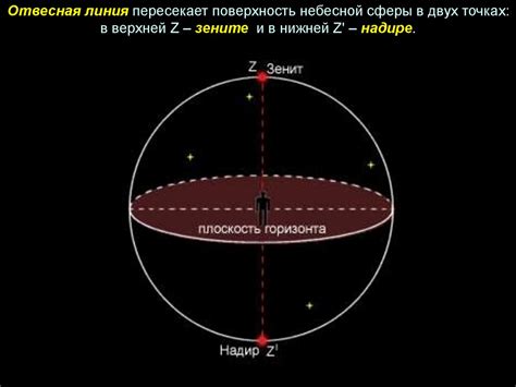Звездное небо. Небесная сфера. Горизонтальная система координат ...