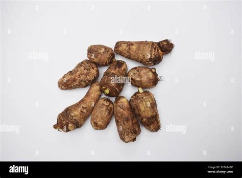 Whole Taro Root Or Colocasia Esculenta Raw Root Vegetable Also Known As