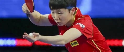 女单八强出炉国乒四人有望会师奥地利名将3 1晋级再战王曼昱 波尔卡诺娃 塔西尼 孙颖莎