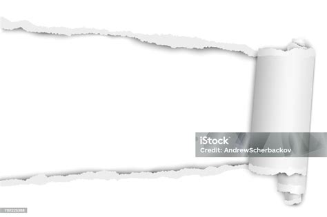 종이 컬과 흰 종이에 왼쪽에서 오른쪽으로 찢어진 길쭉한 구멍 벡터 종이 모의 가장자리에 대한 스톡 벡터 아트 및 기타 이미지