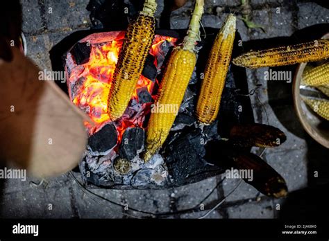 Traditional Roasted Corn Cob In Country Made Oven Grilled Corn