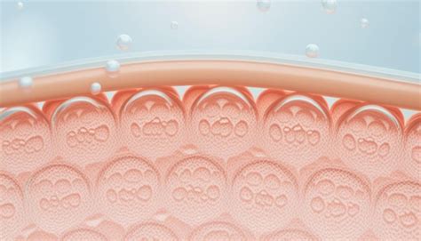 Water And Vitamin Drop On Skin Cell Serum Through The Skin Layer And