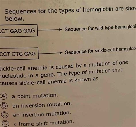 Solved Sequences For The Types Of Hemoglobin Are Shov Below CT GAG
