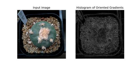 Scikit Image 42 Hoghistogram Of Oriented Gradientsによる画像の特徴抽出