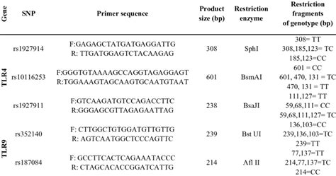 Characteristics And Conditions Of Pcr Rflp Technique For Genotyping Of Download Scientific