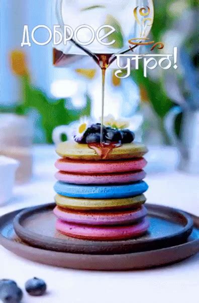 Веста Котова ВКонтакте