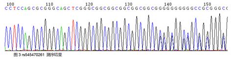 高gc含量的基因组扩增及其sanger测序解决方案实例 精赛顿生物样品前处理pcrqpcr全面解决方案供应商
