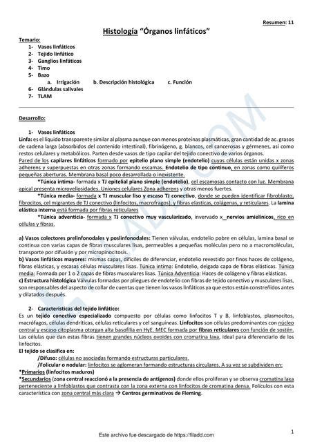 Histología Órganos Linfático Joao Udocz