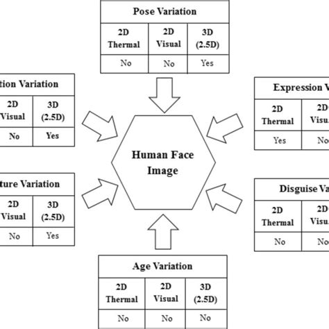 significance of multi modal face images to handle various variations