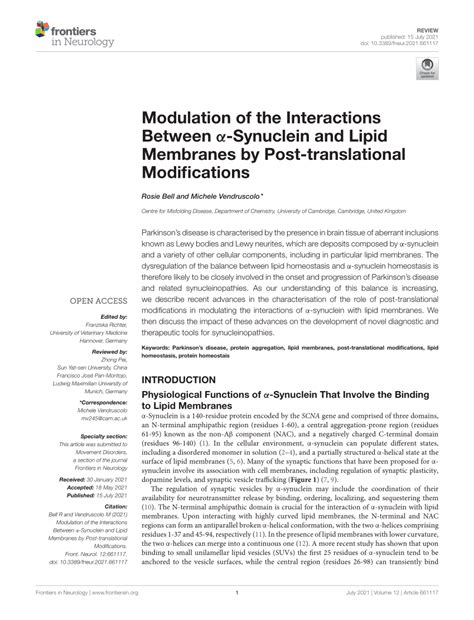 PDF Modulation of the Interactions Between α Synuclein and Lipid Membranes by Post