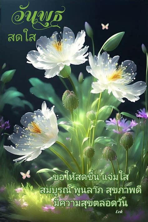 วัน พุธ สดใส วันสีเขียว สวัสดีตอนเช้า ฝันดีราตรีสวัสดิ์