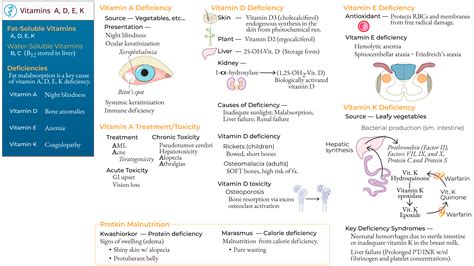 Biochemistry Vitamins A D E K Ditki Medical And Biological Sciences